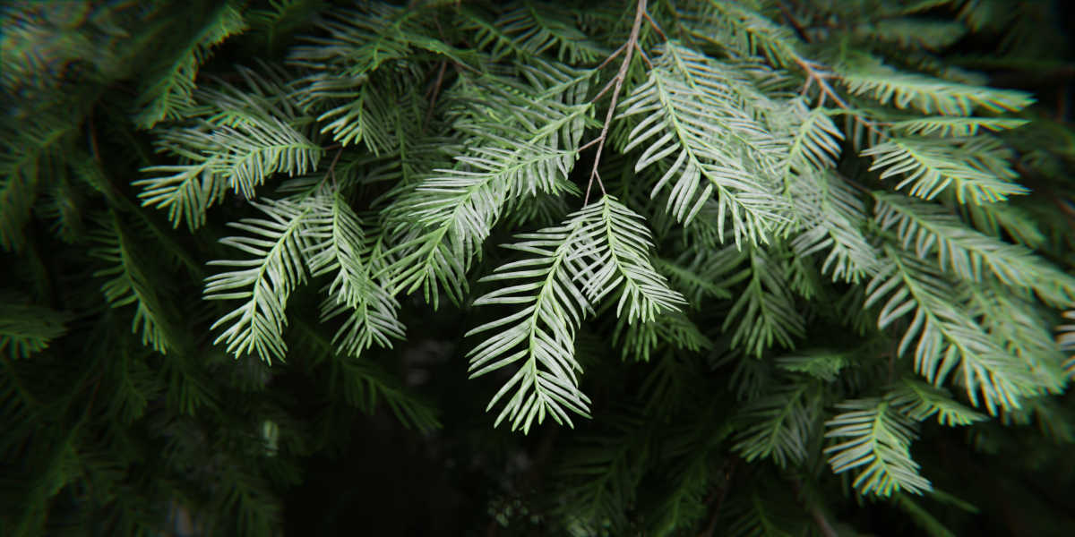 【アセット紹介】Real Trees – 高ポリから低ポリまで用途範囲が広い！ | CGbox