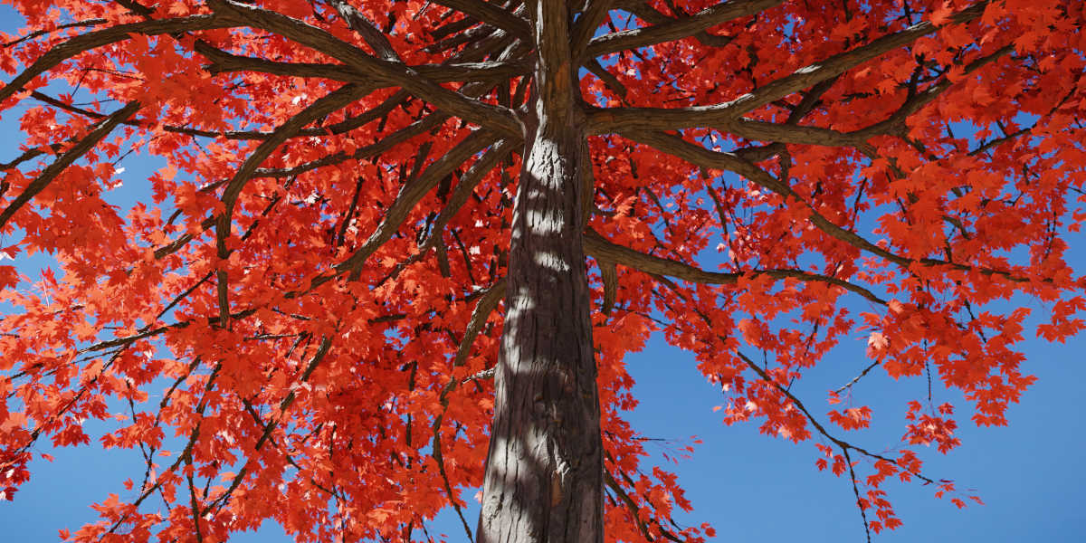 【アセット紹介】Real Trees – 高ポリから低ポリまで用途範囲が広い！ | CGbox